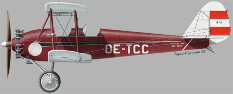 Choroszy Modelbud A89 Ca-100 Fiat engine