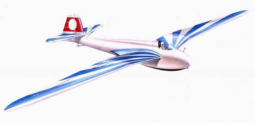 Planet Models 133 DFS Sailplane Habicht