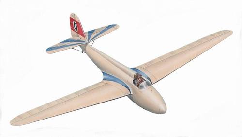 Planet Models 226 DFS Sailplane Stummel Habicht