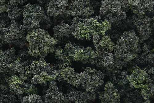 DISCONTINUED Woodland Scenic FC149 Krzewy "Forrest Blend"