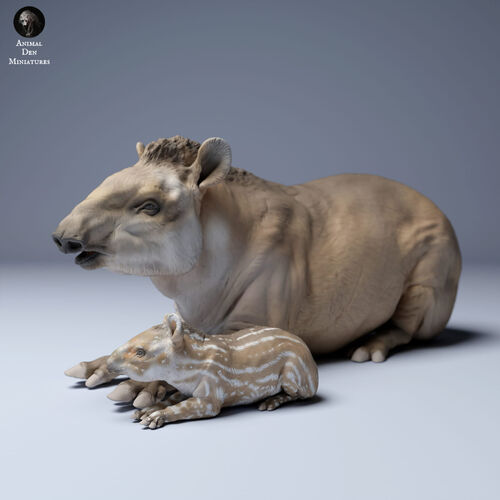 EMP3D 72130256 Tapir amerykański - samica z młodym - leżąca - zestaw