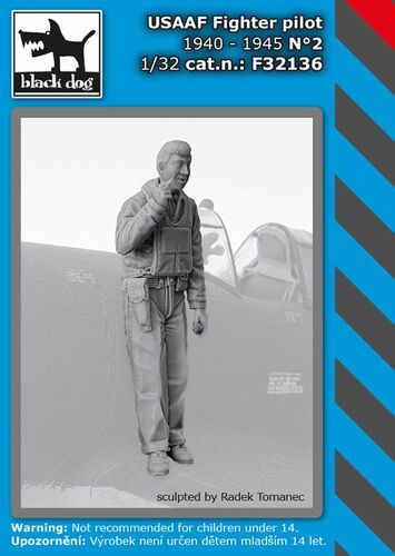 Black Dog F32136 USAAF Fighter pilot 1940-45 N°2