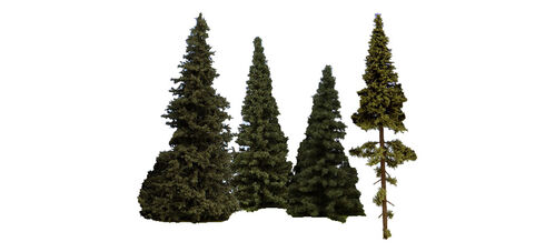 Model scene SP001 Spruces - Starter Pack Nr 1