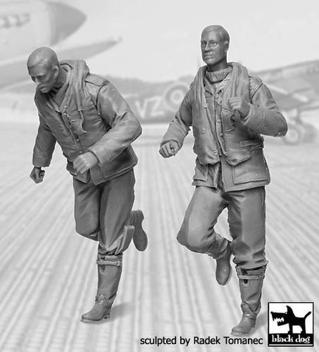 Black Dog F32045 RAF fighter pilots 1940-45 set N°2