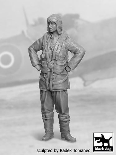 Black Dog F32029 RAF Fighter pilot 1940-45 N°2