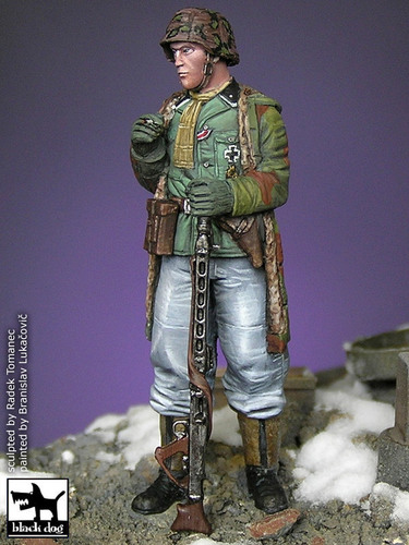 Black Dog F35022 Leutnant grenadier Ardennes 1945