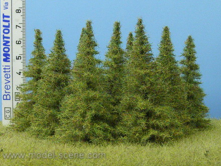 Model scene MO070 Larch 65 mm - 80 mm