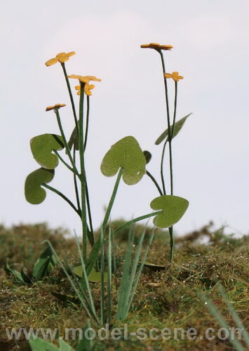 Model scene VG4-003 Marsh marigold