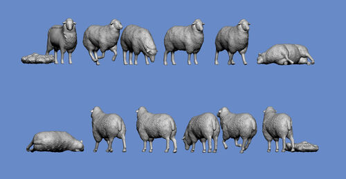 Germania-Figuren 72-ANIMAL-1028 Sheep