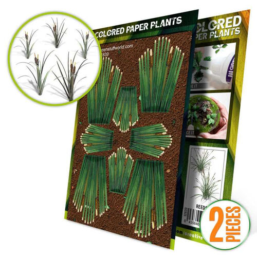 Green Stuff World 12839 Colored Paper Plants - Reeds (Juncos / 2 pcs)
