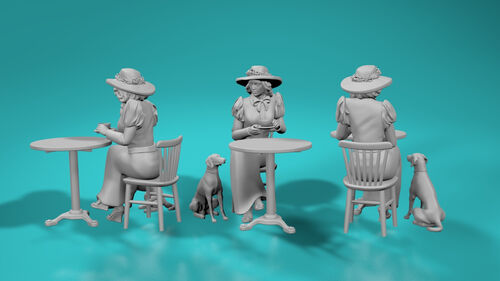 EMP3D 99204717-48 Klient Kawiarni - Dama z Psem