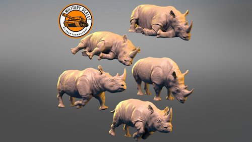 IDAP Technology PMI0692C Rhinos Set