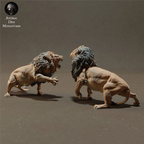 EMP3D 35130706 Lew - lwy walczące (1 zestaw / 2 figurki)