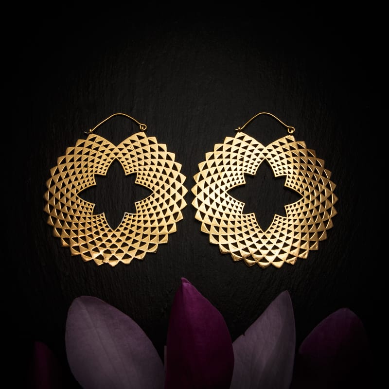 VEGA Brass Earrings