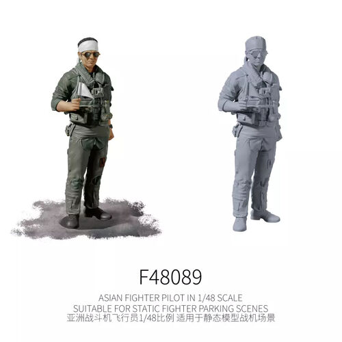 Galaxy-Model F48089 Asian Fighter Pilot #2