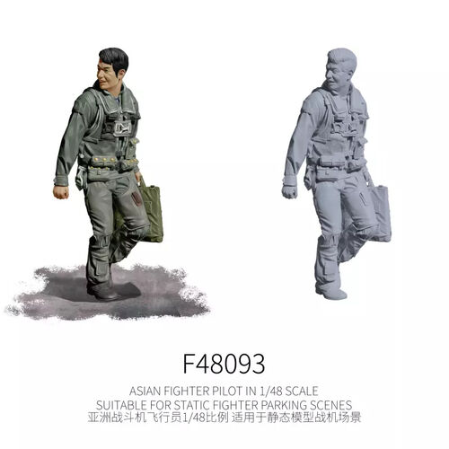 Galaxy-Model F48093 Asian Fighter Pilot #6