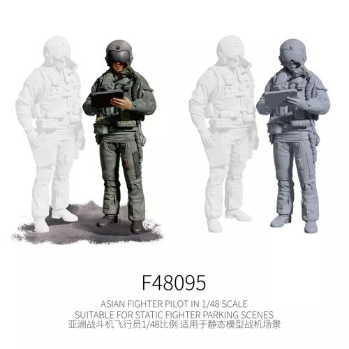 Galaxy-Model F48095 Asian Fighter Pilot #8