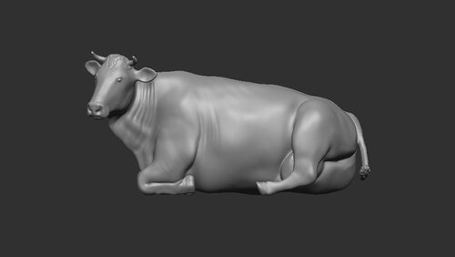 Firma49 Z016-48 Lying Cow