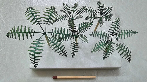 Firma49 P008-35 Bracken