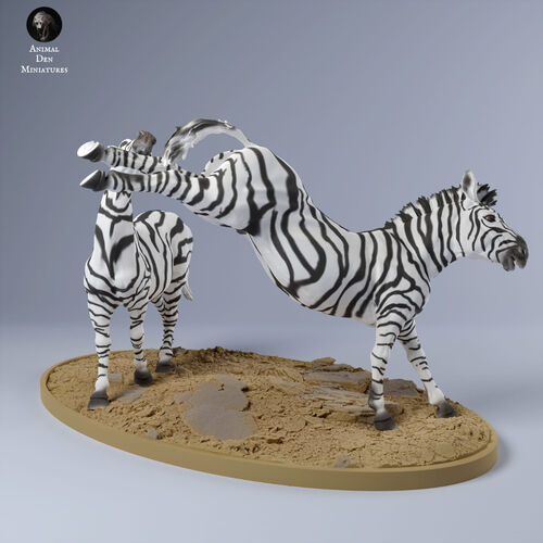 EMP3D 35130252 Zebra Stepowa - Walczące Samce