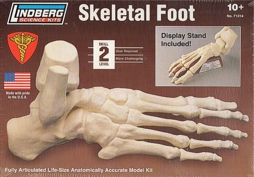 Lindberg 71314 Skeletal Foot