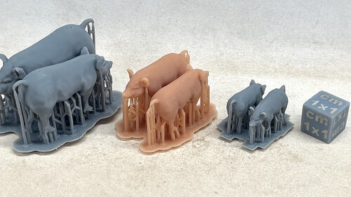 EMP3D 25130302 Świnie - 2 Sztuki