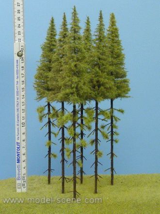 Model scene MK250 Larch with trunk 230 mm - 270 mm