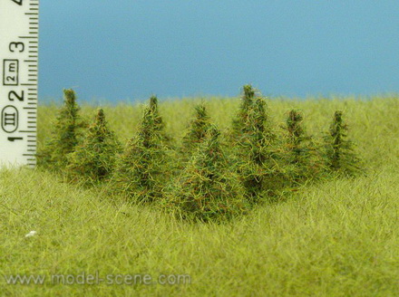 Model scene MO015 Larch 15 mm