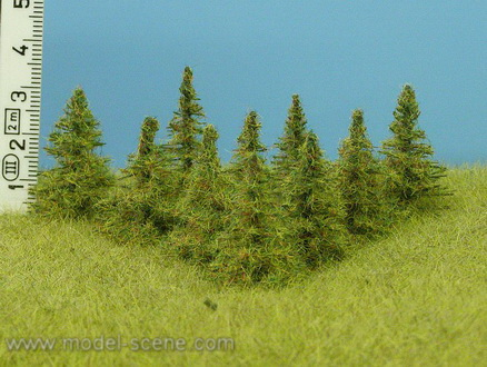 Model scene MO030 Larch 25 mm - 35 mm