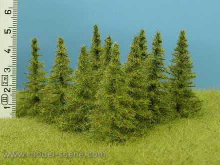 Model scene MO050 Larch 40 mm - 60 mm