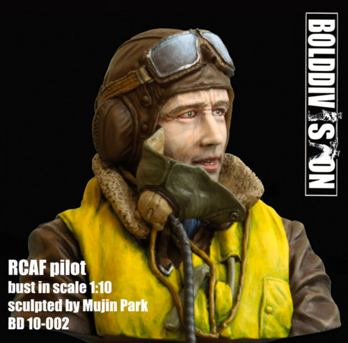 Bold Division 10-002 Royal Canadian Airforce pilot bust