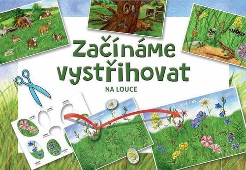 Betexa 310 Zaczynamy wycinać na łące - wycinanka