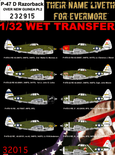 HGW Models 232915 P-47 D Razorback OVER NEW GUINEA Pt.2