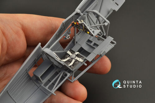 Quinta Studio QD32113 PZL P.11c - 3D-Printed & Coloured Interior (for IBG kits)