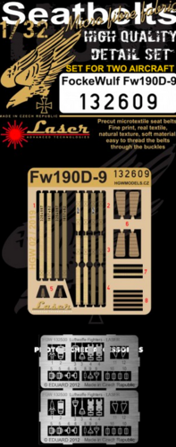 HGW Models 132609 Focke-Wulf Fw 190D-9