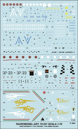 TAURO MODEL 72-531 AV-8 B Harrier II in Italian Service and F-104 Special Color