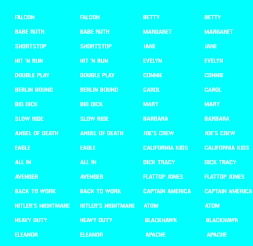 Braille Strike 35109 US vehicle nicknames