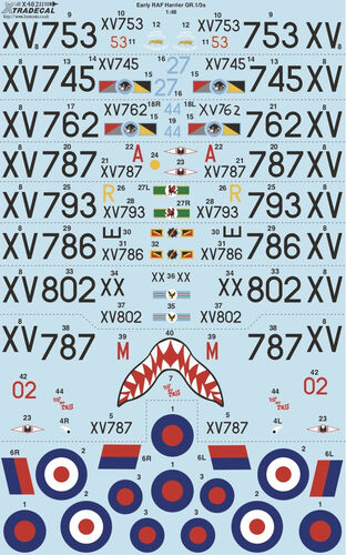 Xtradecal 48211 Early RAF Harrier GR.1 / GR.3 (8 schemes)