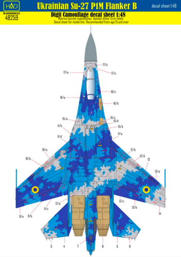 HAD Models 48259 Ukrainian Su-27 P1M Flanker B Digit Camouflage decal sheet