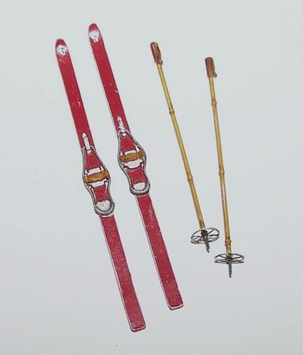 Plus Model EL040 Skis with sticks