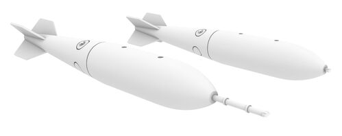 rise144models 046 MK 118 Bombs 2x (two different fuzes 2x2)