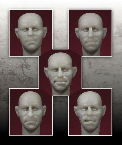 The Bodi Miniatures 35013 Heads