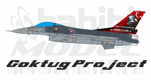 Babibi Models 01409 Lockheed-Martin F-16 C Fighting Falcon - 401 Sqn "Goktug Project" Decal Set
