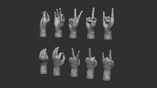 Firma49 F028-16 Hands - Gestures