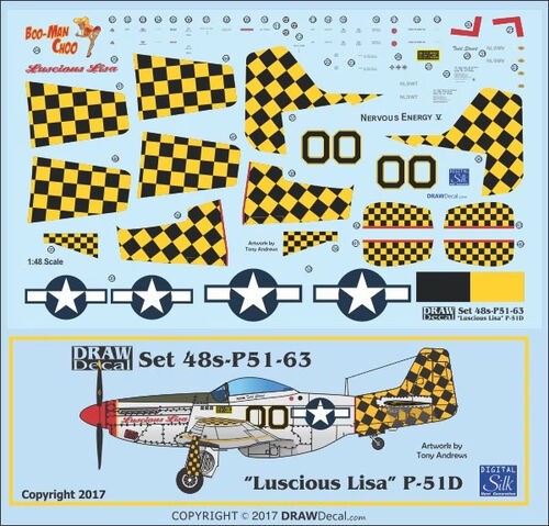 Draw Decal 48-P51-63 North American P-51 D - "Luscious Lisa" Gathering of Mustangs and Legends