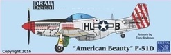 Draw Decal 44-P51-14 North American P-51 D - "American Beauty" Gathering of Mustangs and Legends