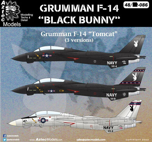 Aztec 48D086 Grumman F-14 - 'Black Bunny'