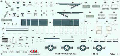 CAM 32116 Grumman F-14 Tomcat Low Visibility Data inc. National Insignia