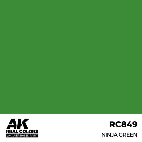 AK-Interactive RC849 Ninja Green
