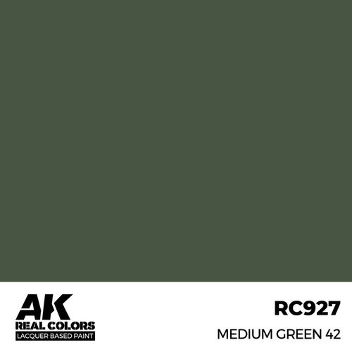 AK-Interactive RC927 Medium Green 42